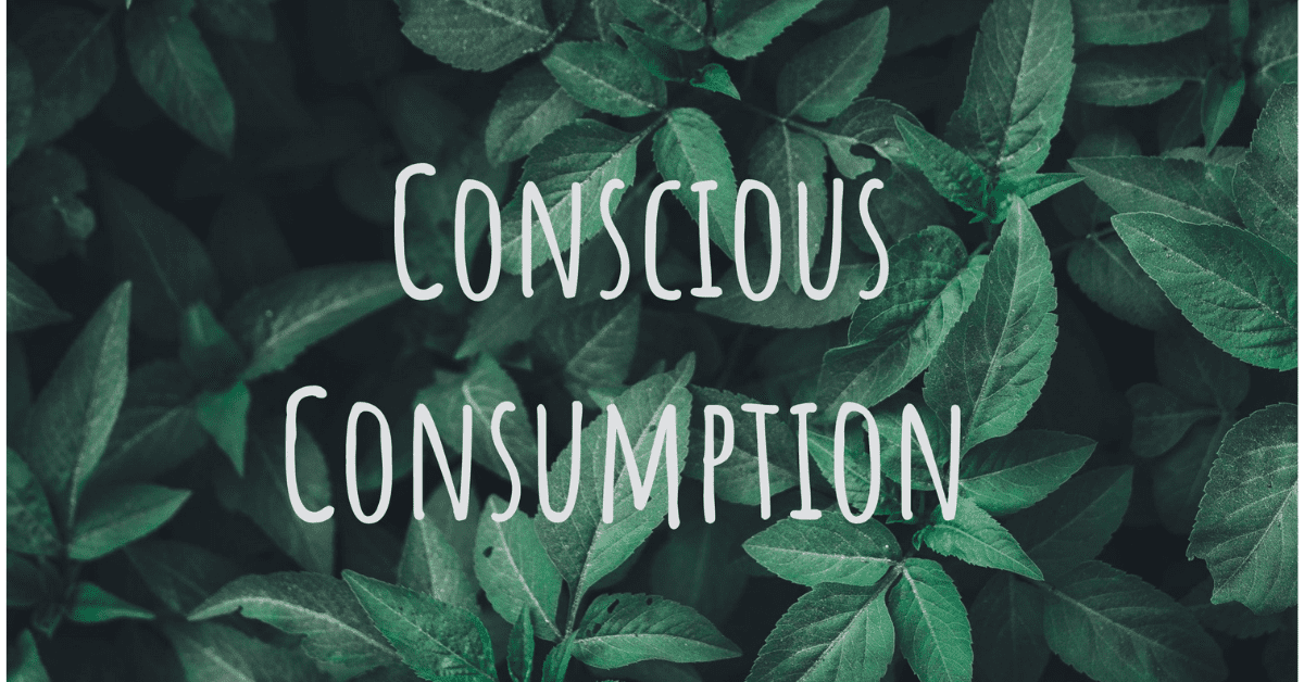 What is conscious consumption? Ways to become a more conscious consumer ...